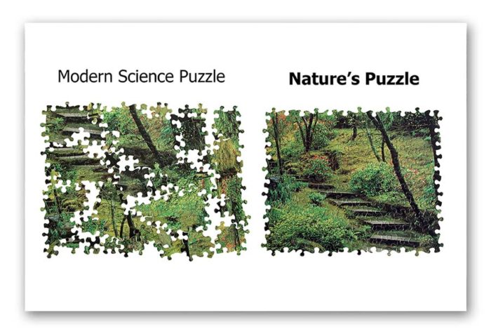 Home - Universal Model