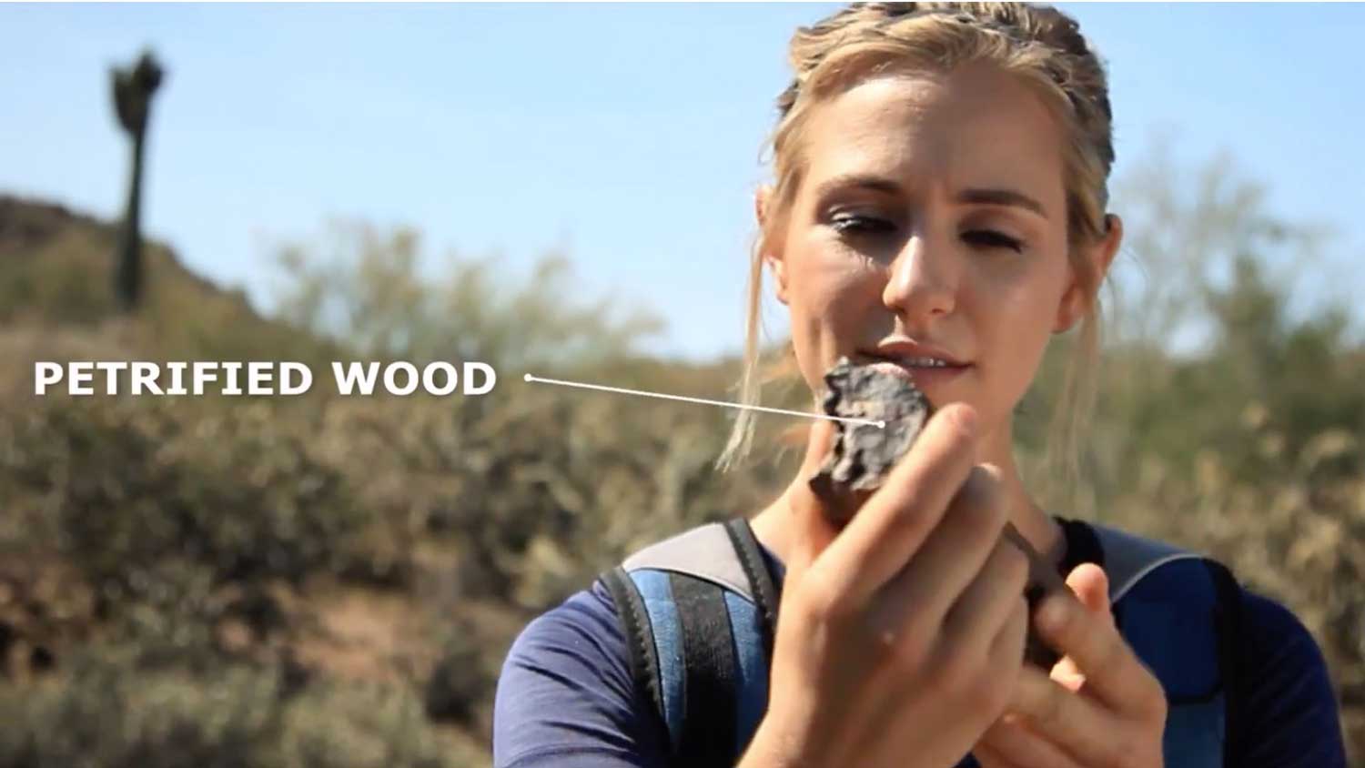 Home - Universal Model